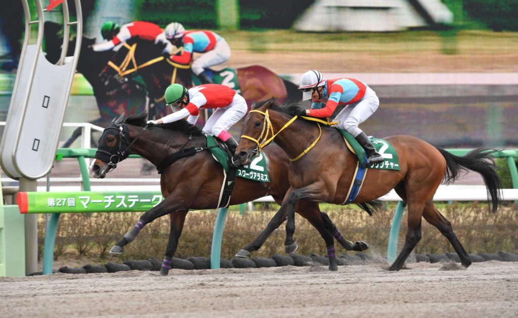 일본 나카야마경마장 마치 스테익스(G3) Rapier Wit | 강운마권(強運馬券) 필승법 패턴경마